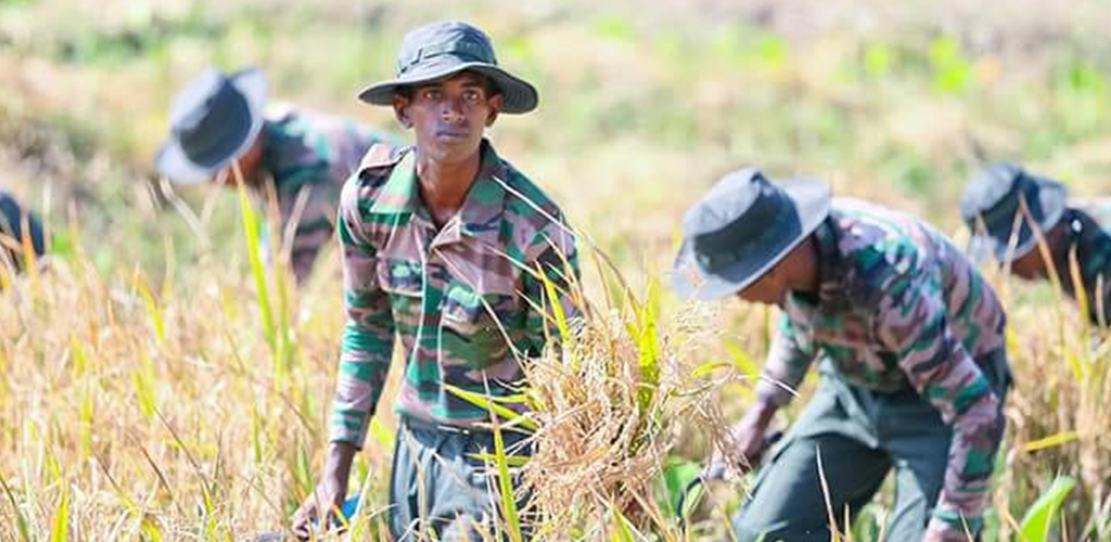 CORPS OF AGRICULTURE AND LIVESTOCK